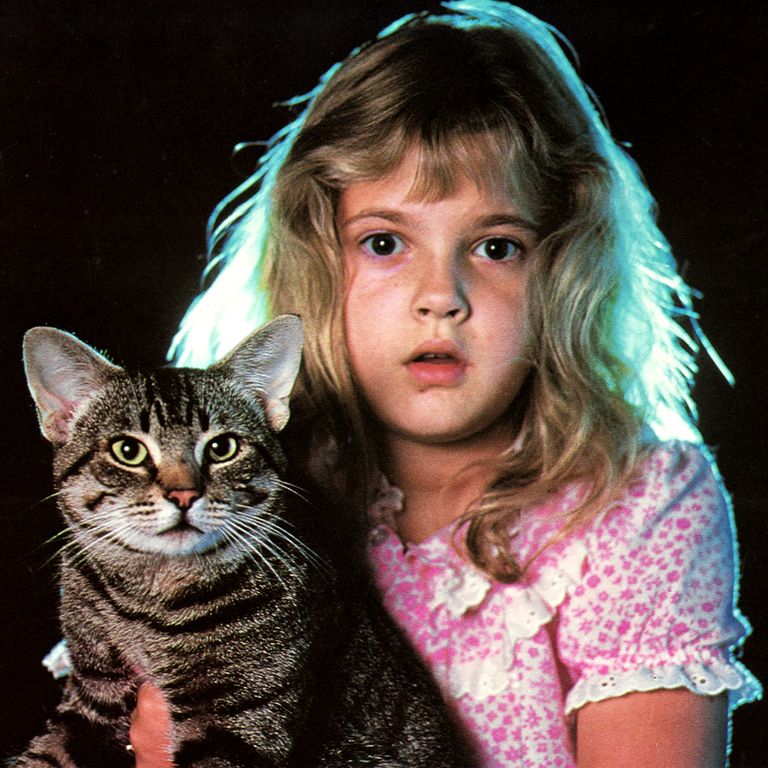 The Drew Barrymore Look Book