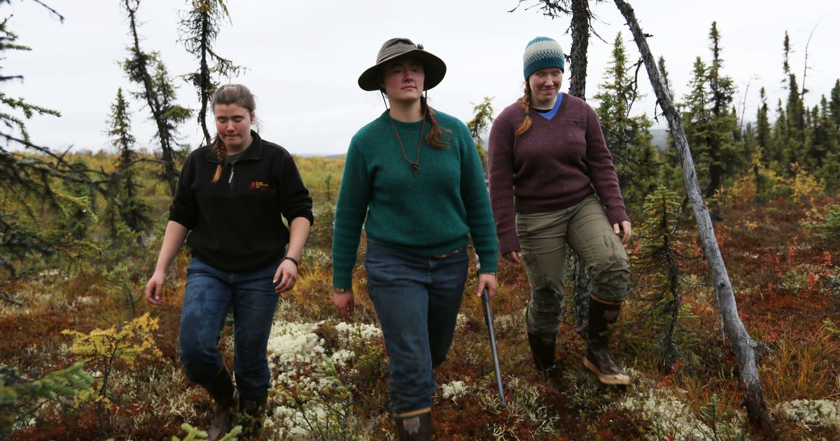 Why You Should Be Watching The Last Alaskans, the Realest Reality Show ...