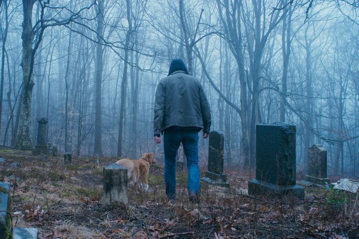 The Gut-Punch Ending of Good Boy, Explained by Its Director