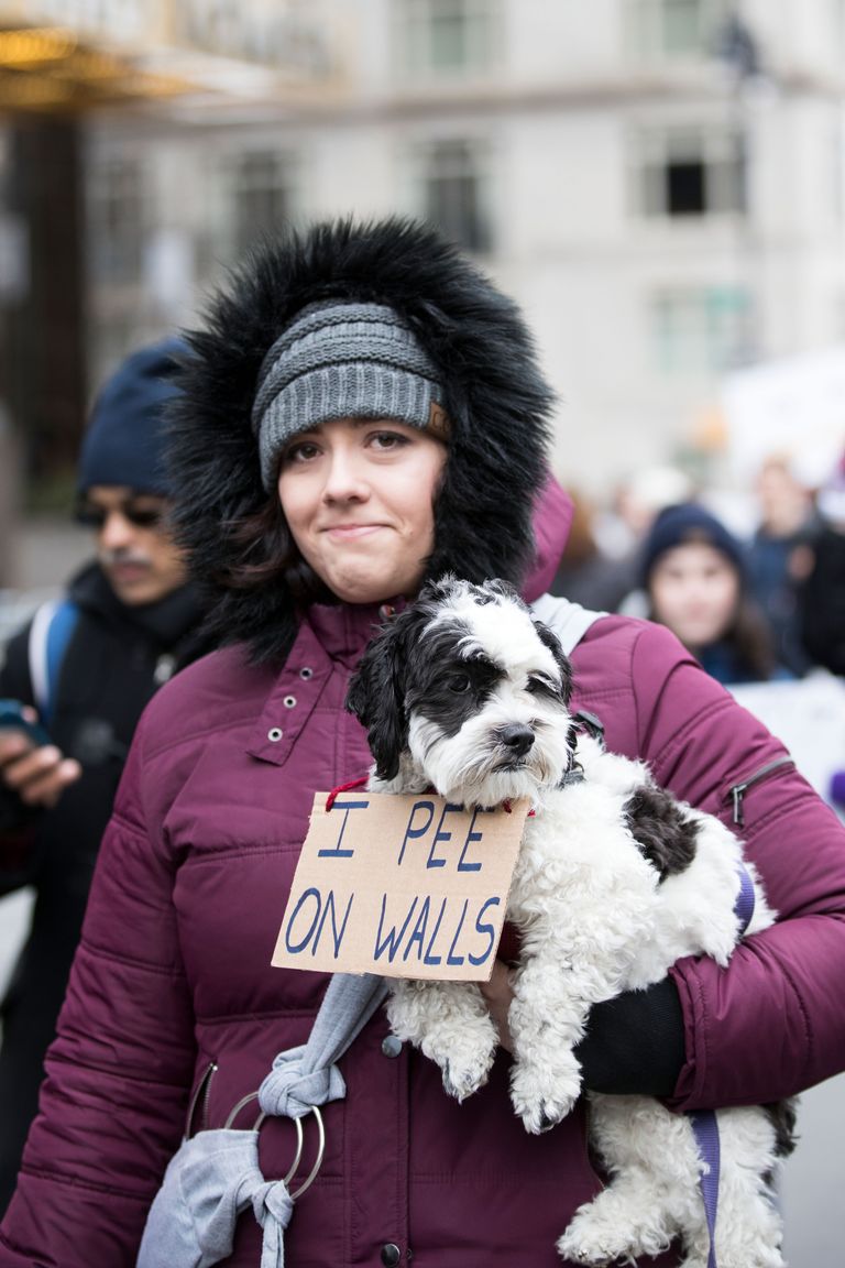 Photos: 120 Years of Women’s Protest Signs