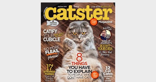 Cat Fancy Magazine Gets a Fun and Sexy Makeover