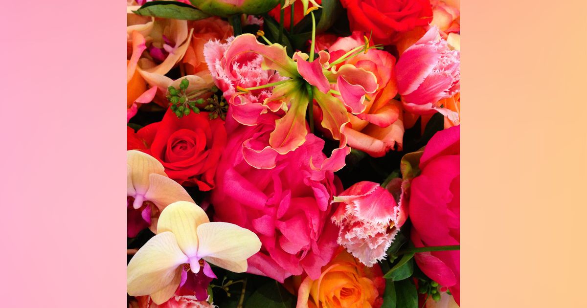 Zezé the Florist Is Like an Impressionist Painter