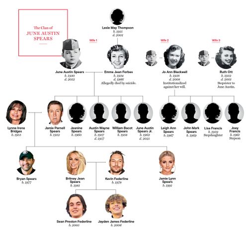 Why Did Jamie Spears Push Britney Into a Conservatorship?