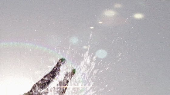 9 Guffaw-Inspiring GIFs From Syfy’s RoboCroc