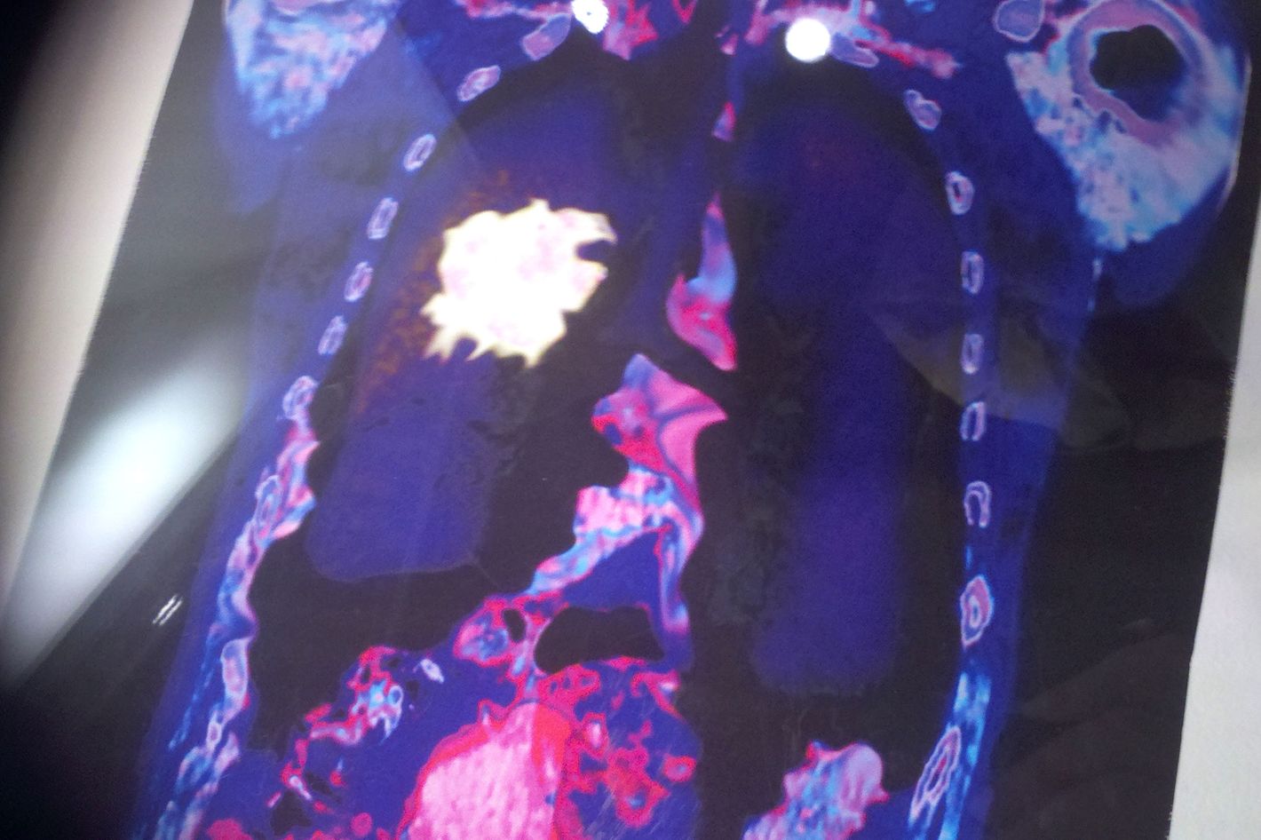 Vince Gilligan at Breaking Bad Museum Exhibit: ‘That’s a Bit of a Spoiler’