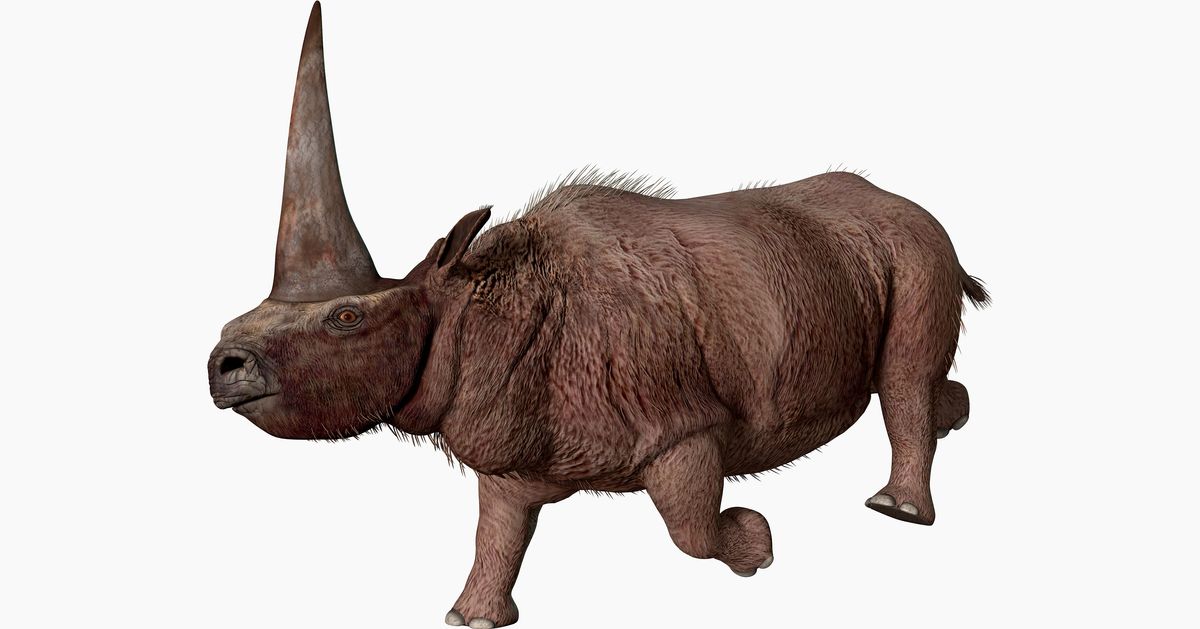 Unicorns Were Real, But Climate Change Killed Them