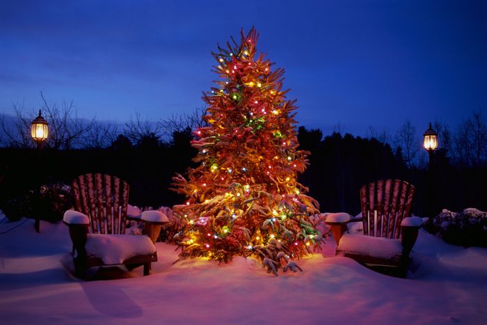 GitHub - wednesday1991/WASSUP: 이스트소프트 인공지능 서비스기획 KDT 과정 1기