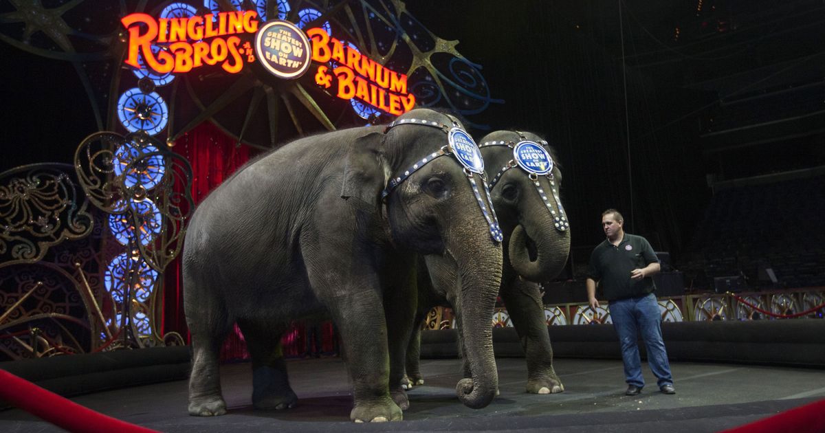 The Ringling Bros. Elephants Are Retiring Ahead of Schedule
