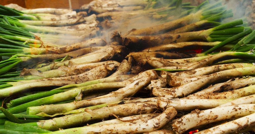 Back Forty West’s Amazing Calçotada Returns May 11