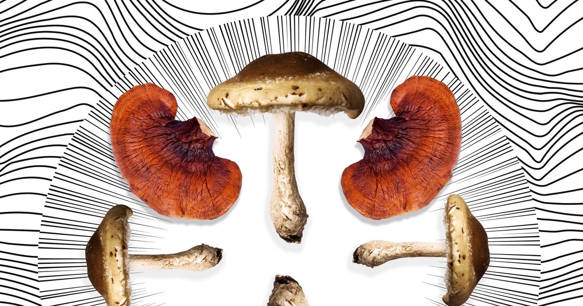 What Are Adaptogens and How Do They Work?