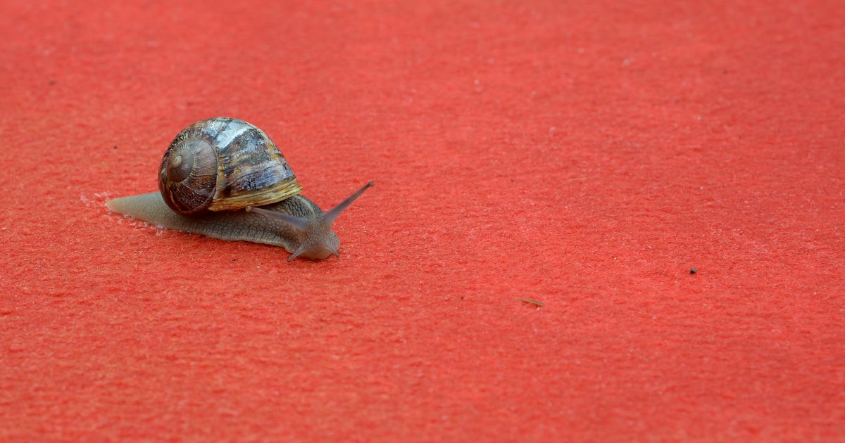 Here Is the Best-Dressed Snail on the Cannes Red Carpet