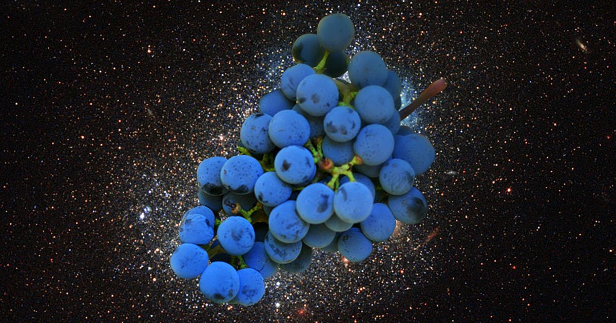 China Sends Wine Into Space to Save It From Climate Change