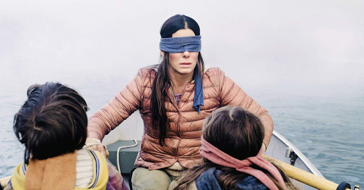 Bird Box Challenge Panic Is Unnecessary