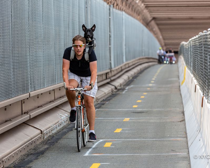 Curbed Latest News: Latest Stories About Home Design, Urbanism, and ...