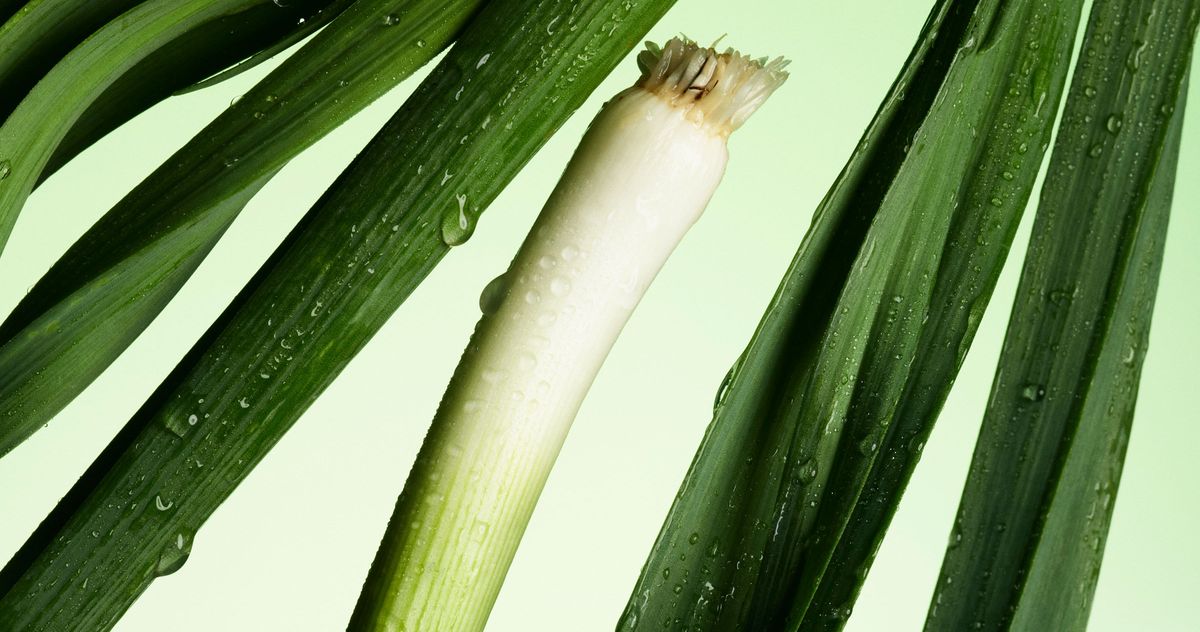 Dan Barber’s Sweet Garleek Available at Whole Foods