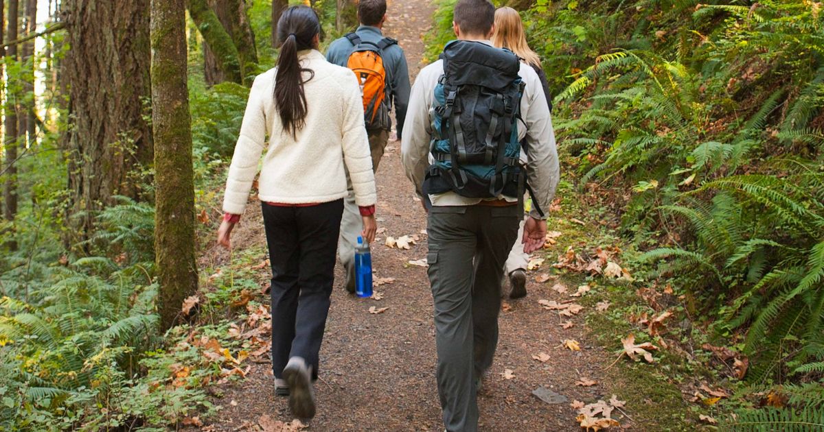 Nature Walks May Help Reduce Stress and Depression