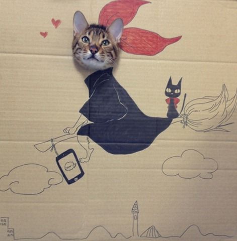 Cat Sticks His Face Through Cardboard, and It’s Art