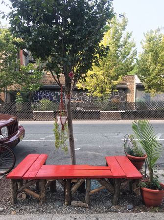 New York City’s Tree Pit Gardens