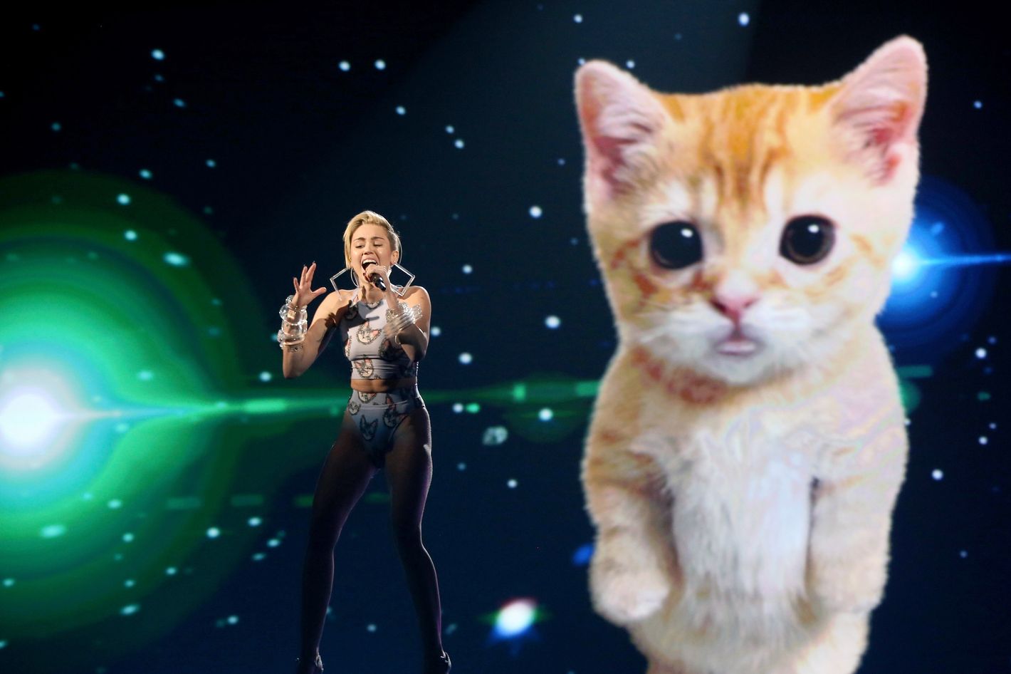 Miley Cyrus, Cat Lady for the Ages