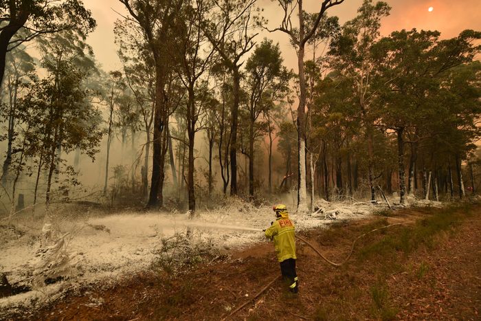 Australia Fires: Horrifying Photos From New South Wales