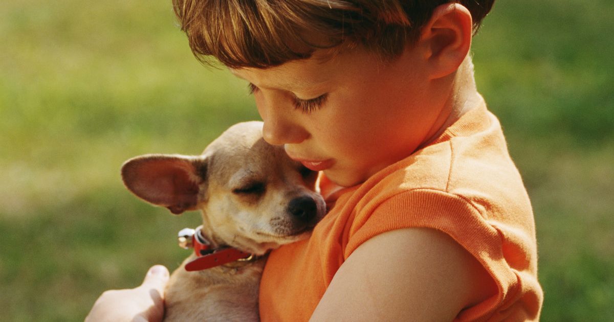 How Pets Help Kids With Autism