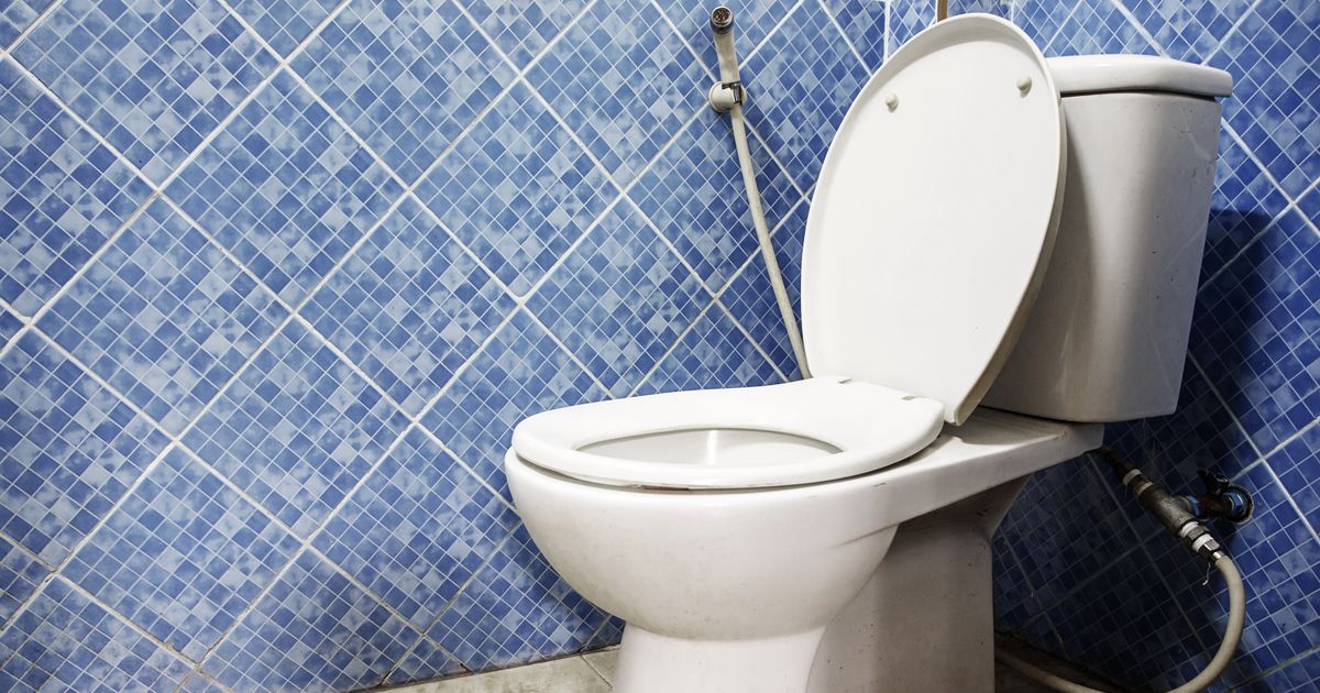 What Can We Learn About Famous People From Their Toilets?