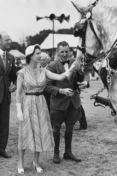 See Queen Elizabeth With Corgis, a Panda, Elephants, and Other Animals