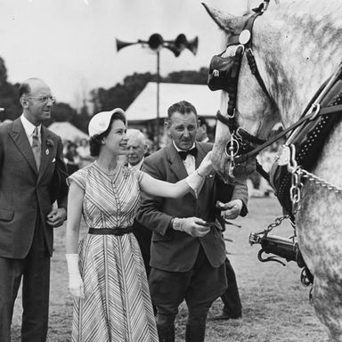 See Queen Elizabeth With Corgis, a Panda, Elephants, and Other Animals