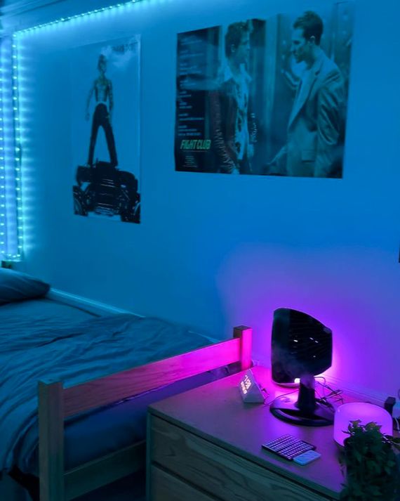 69 Dorm-Room Essentials to Buy | The Strategist