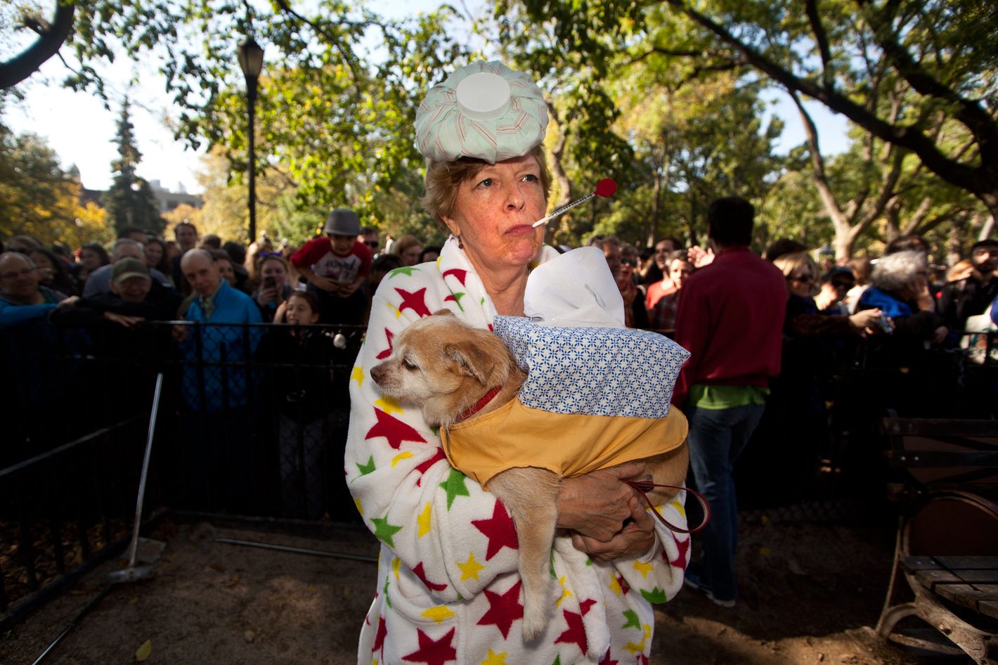 Here Are the Best Costumes From This Year’s Halloween Dog Parade