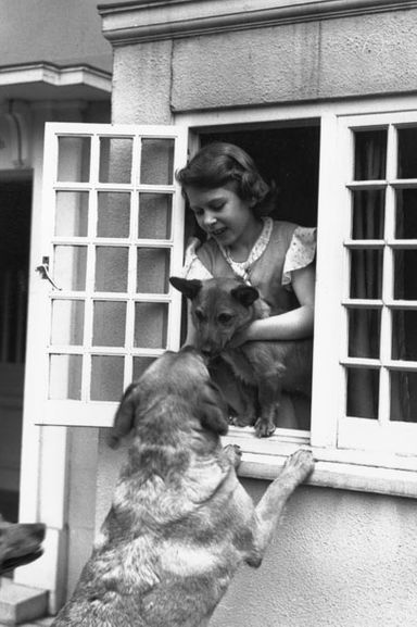 See Queen Elizabeth With Corgis, a Panda, Elephants, and Other Animals