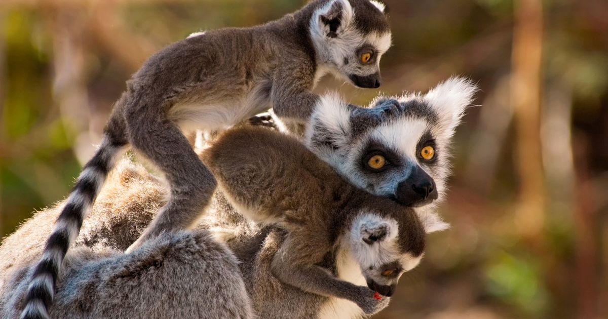 Ask Polly: I’m Terrified of Having Kids!