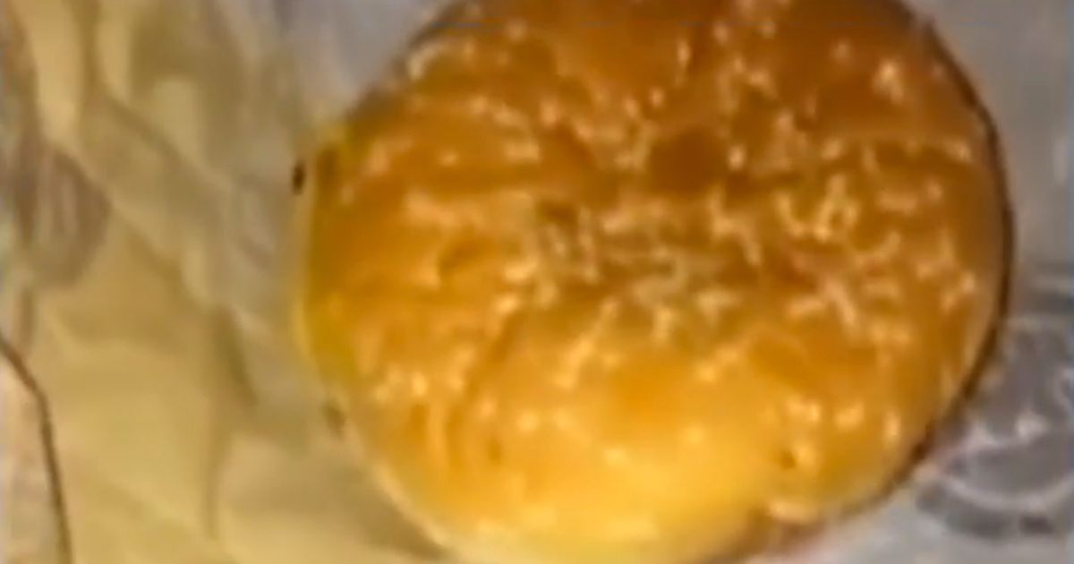 Here’s a Burger King Order With Ants Crawling All Over It