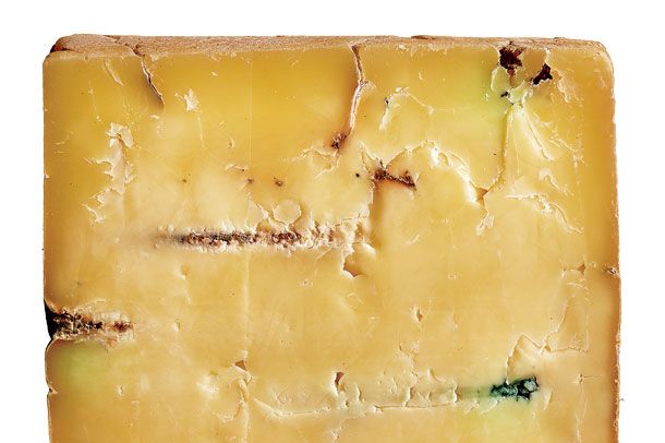 From Adelegger to Zimbro: 50 Runny, Yummy, Crumbly Cheeses to Eat Now