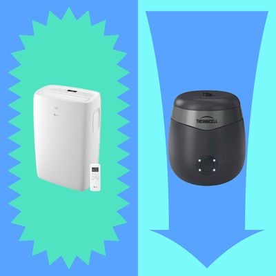 27 Summer Appliances On Sale for Memorial Day | The Strategist