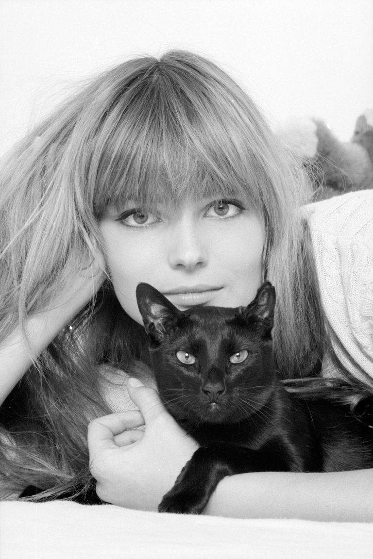 The 50 Most Fabulous (and Famous) Cat Ladies of All Time