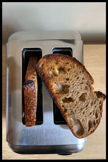 8 Best Toasters 2025 | The Strategist