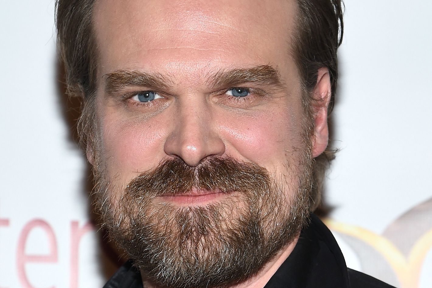 David Harbour's Instagram, Twitter & Facebook on IDCrawl