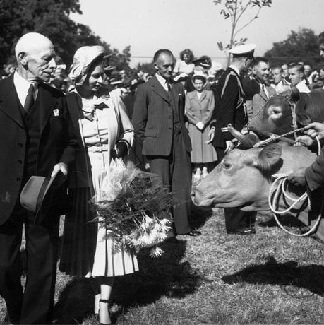 See Queen Elizabeth With Corgis, a Panda, Elephants, and Other Animals