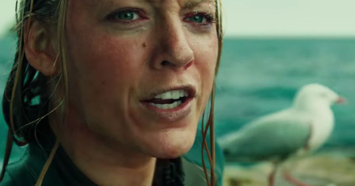 The Breakout Movie Star of the Summer Is the Seagull From The Shallows