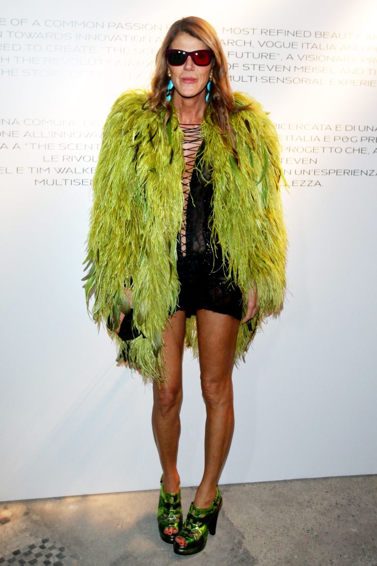 The Anna Dello Russo Look Book
