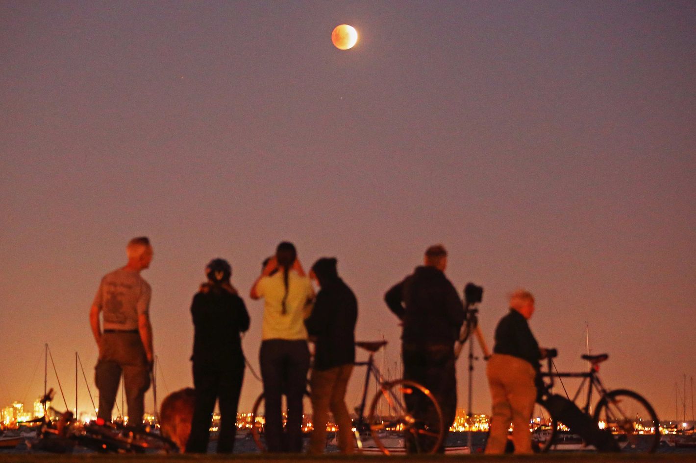 The Best Photos of Last Night’s Blood Moon, for Everyone Who Slept ...