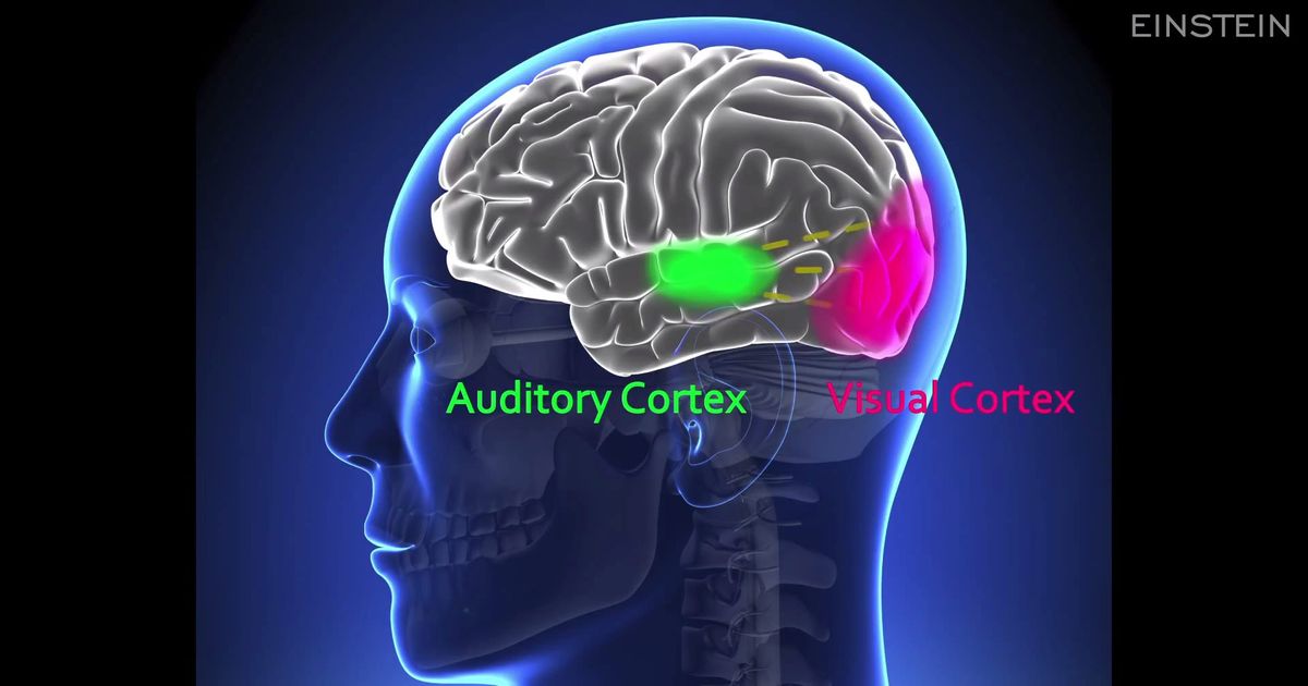 A Brain-Scan Step Toward Better Autism Diagnosis