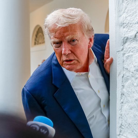 What the Unsealed Epstein Documents Reveal About Trump