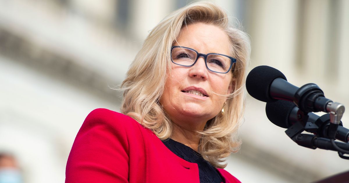 Anti-Tax Lobby Seeks to Purge Democracy Supporters from GOP