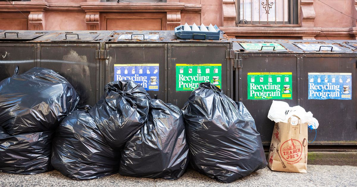 New DSNY Report Outlines City-Wide Trash Containerization