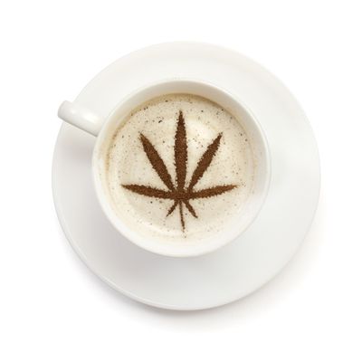 Genius Barista Concocts Marijuana Coffee