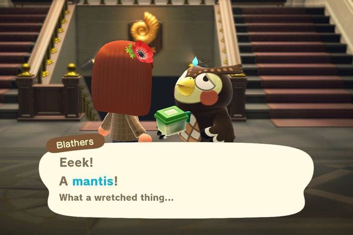 Animal Crossing’s Worst Character Is Blathers the Owl