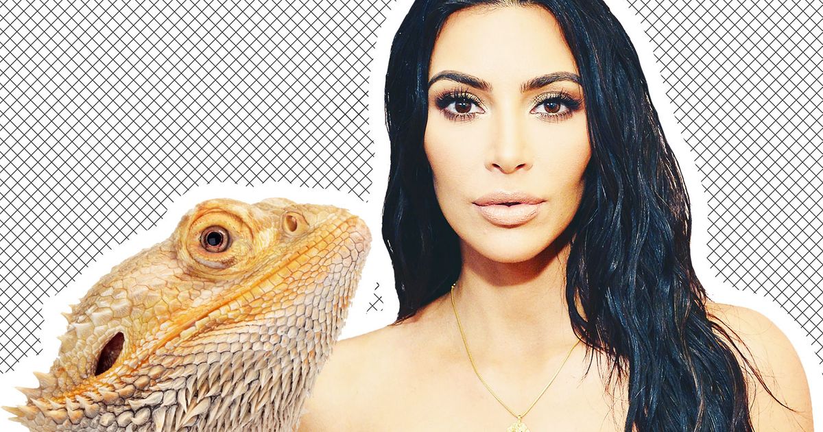 Look at Kim Kardashian’s Gorgeous, Well-Dressed Lizard