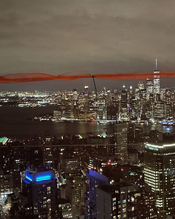 A Visit To The Top of the Brooklyn Tower